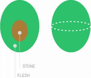 Home-Cured Olives - International Olive Council