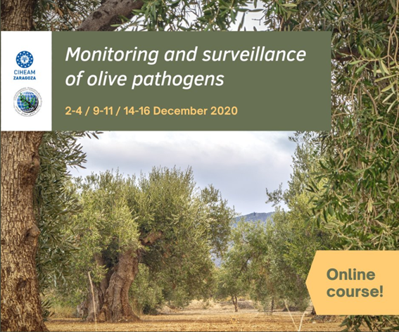 Monitoring and Surveillance of Olive Pathogens - International Olive ...