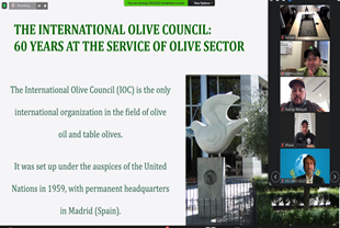 IOC-led virtual technical tasting - International Olive Council