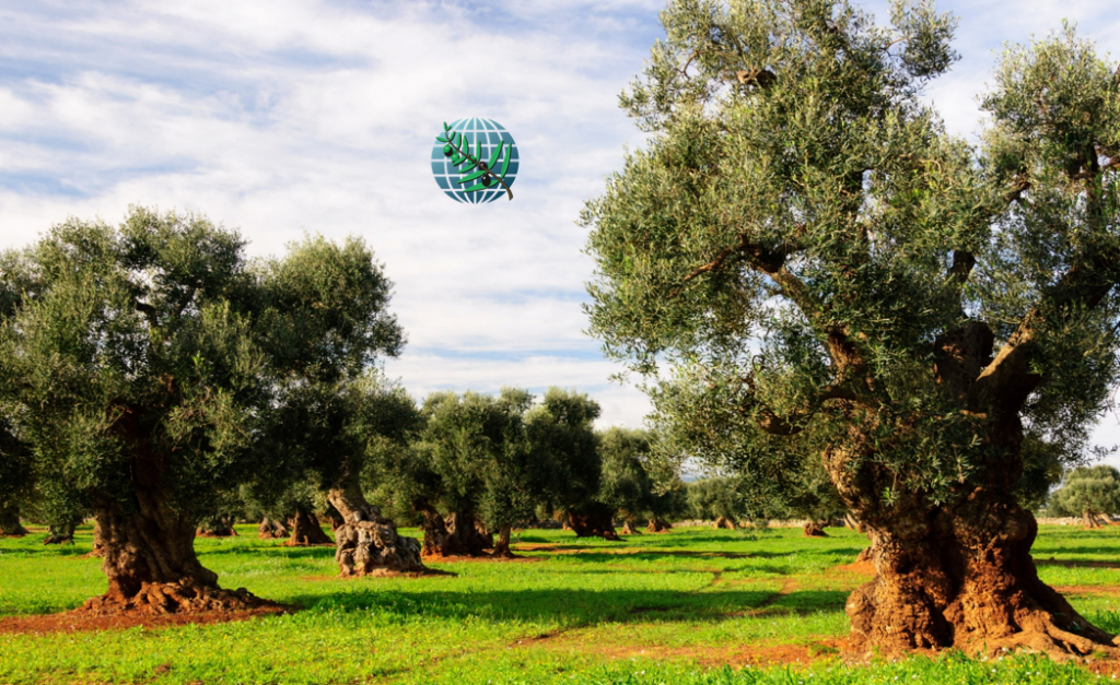 THE 2021 WORLD OLIVE DAY - International Olive Council