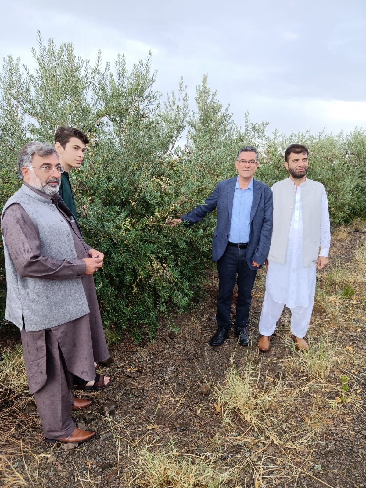 Positive outcome of IOC mission to Pakistan - International Olive Council