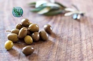 THE WORLD OF TABLE OLIVES - International Olive Council