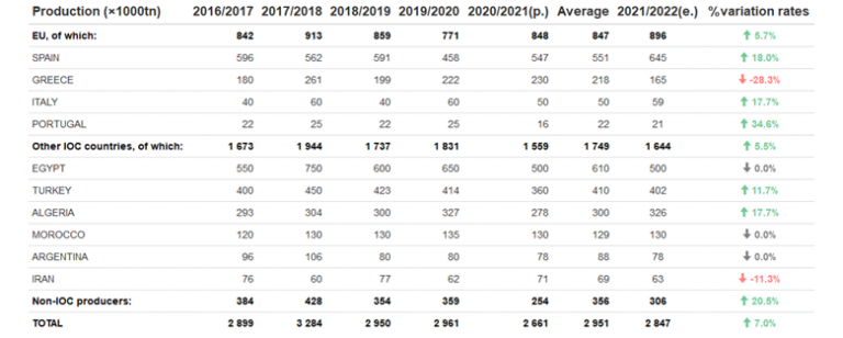 THE WORLD OF TABLE OLIVES - International Olive Council