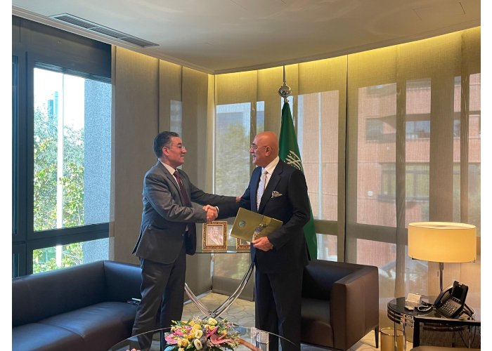 Executive Director meets Ambassador of Saudi Arabia - International ...