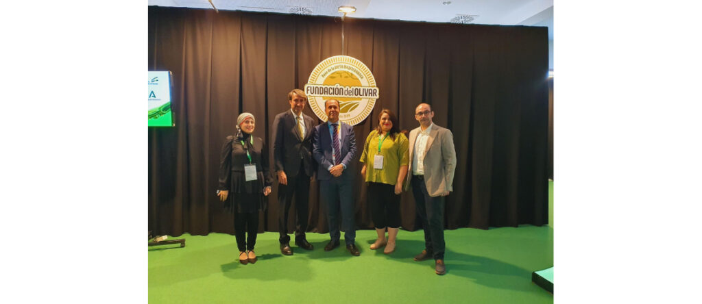 PRESENTATION OF THE IOC-PANEL PLATFORM - International Olive Council