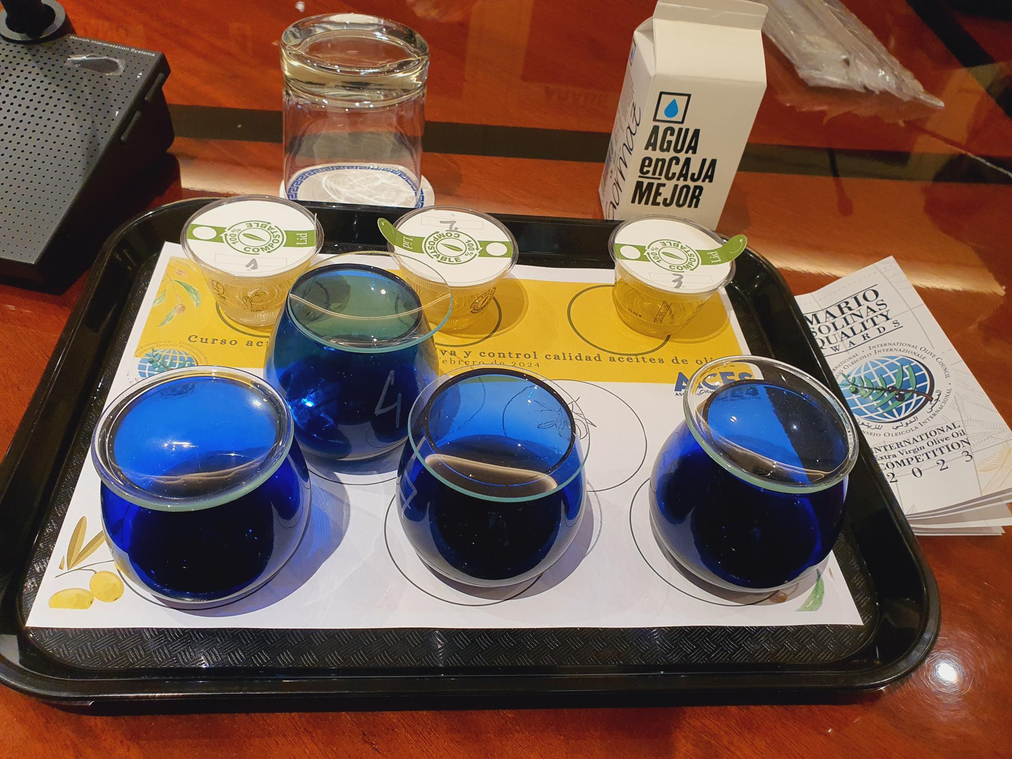 The IOC hosts a refresher course on olive oil standards - International ...