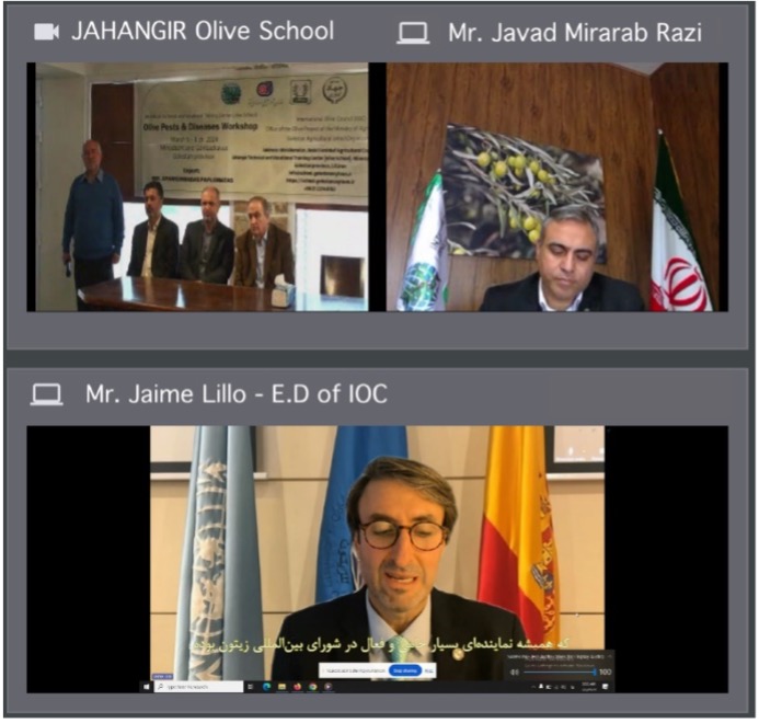 The IOC co-organizes a course on olive tree pest and disease control in ...