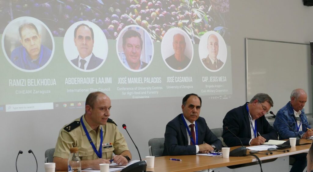 Celebrating the olive tree as a symbol of peace - International Olive ...