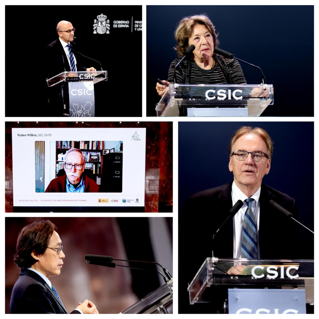 The IOC Celebrates World Olive Day 2024 - International Olive Council