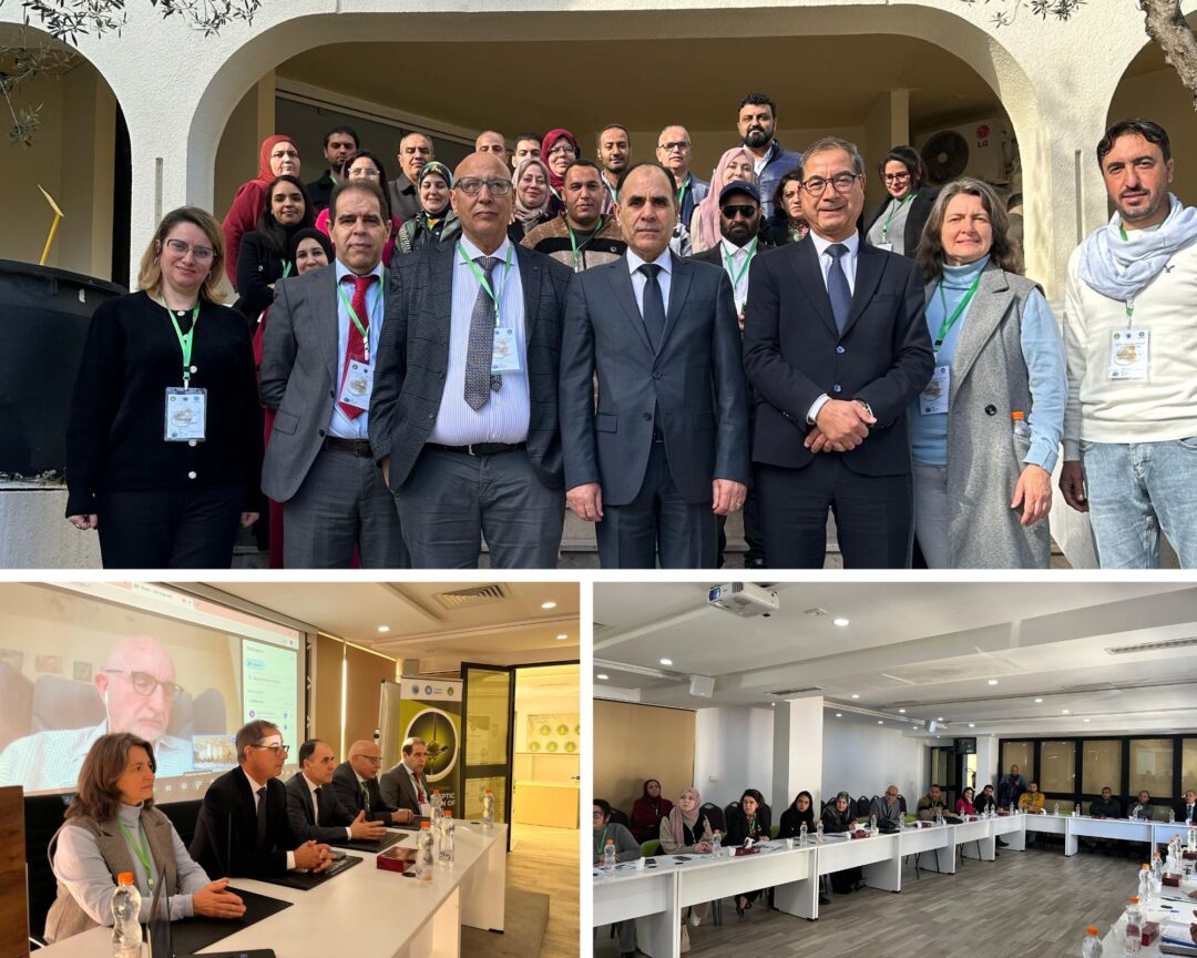 The IOC Hosts the 4th Edition of the Virgin Olive Oil Organoleptic ...