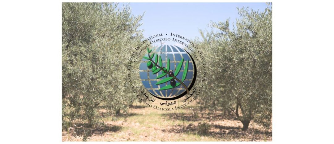 World Olive Day 2024 - International Olive Council