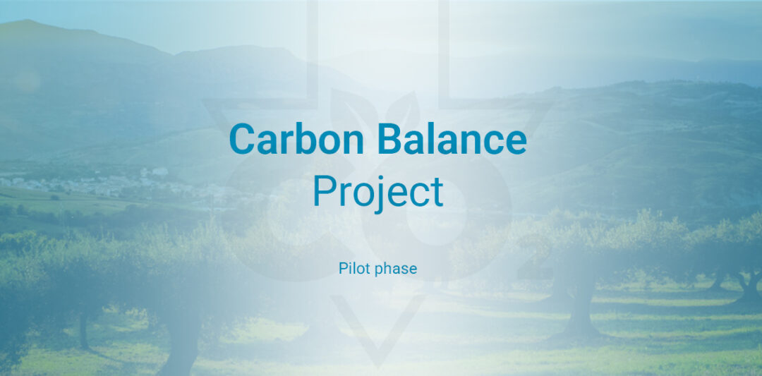 Second IOC Training on Carbon Balance Tool - International Olive Council