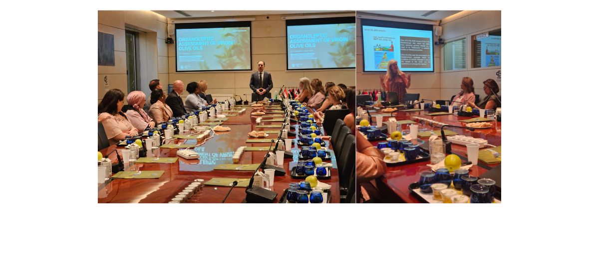 Ambassadors and Diplomatic Representatives Discover the Richness of ...