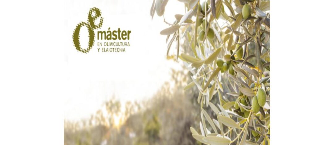 Master's Degree in Olive Growing and Olive Technology - 16th edition ...