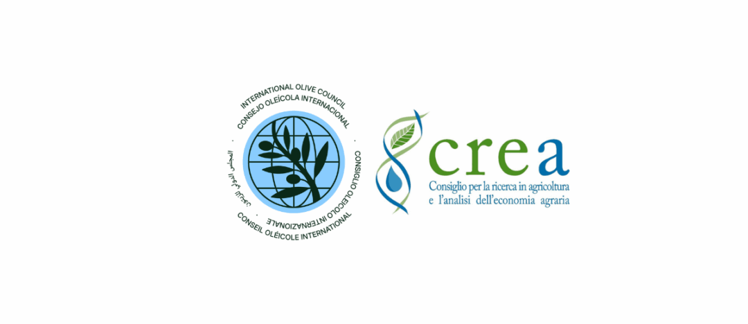 IOC and CREA Sign MoU to Advance Olive Sector Research and Innovation ...