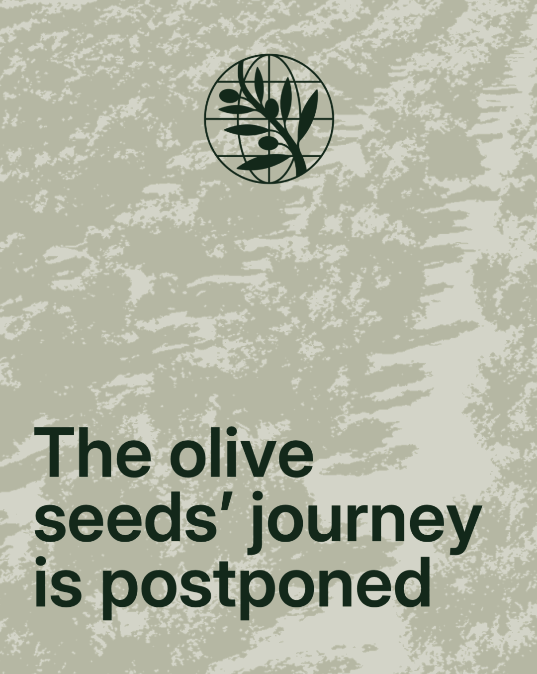 2026: A promising year for the IOC - International Olive Council